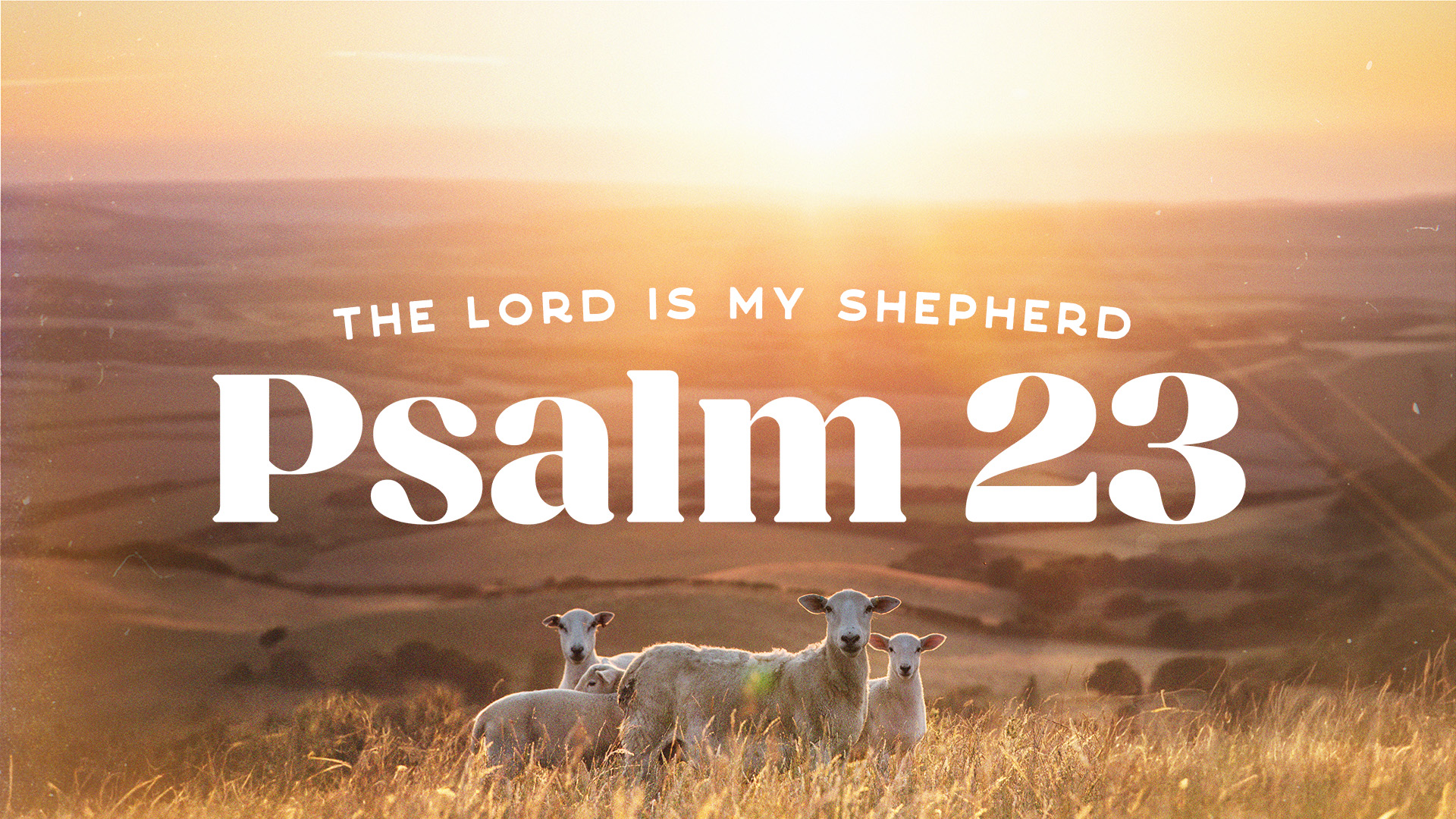 Green Pastures | Canyon Hills Community Church